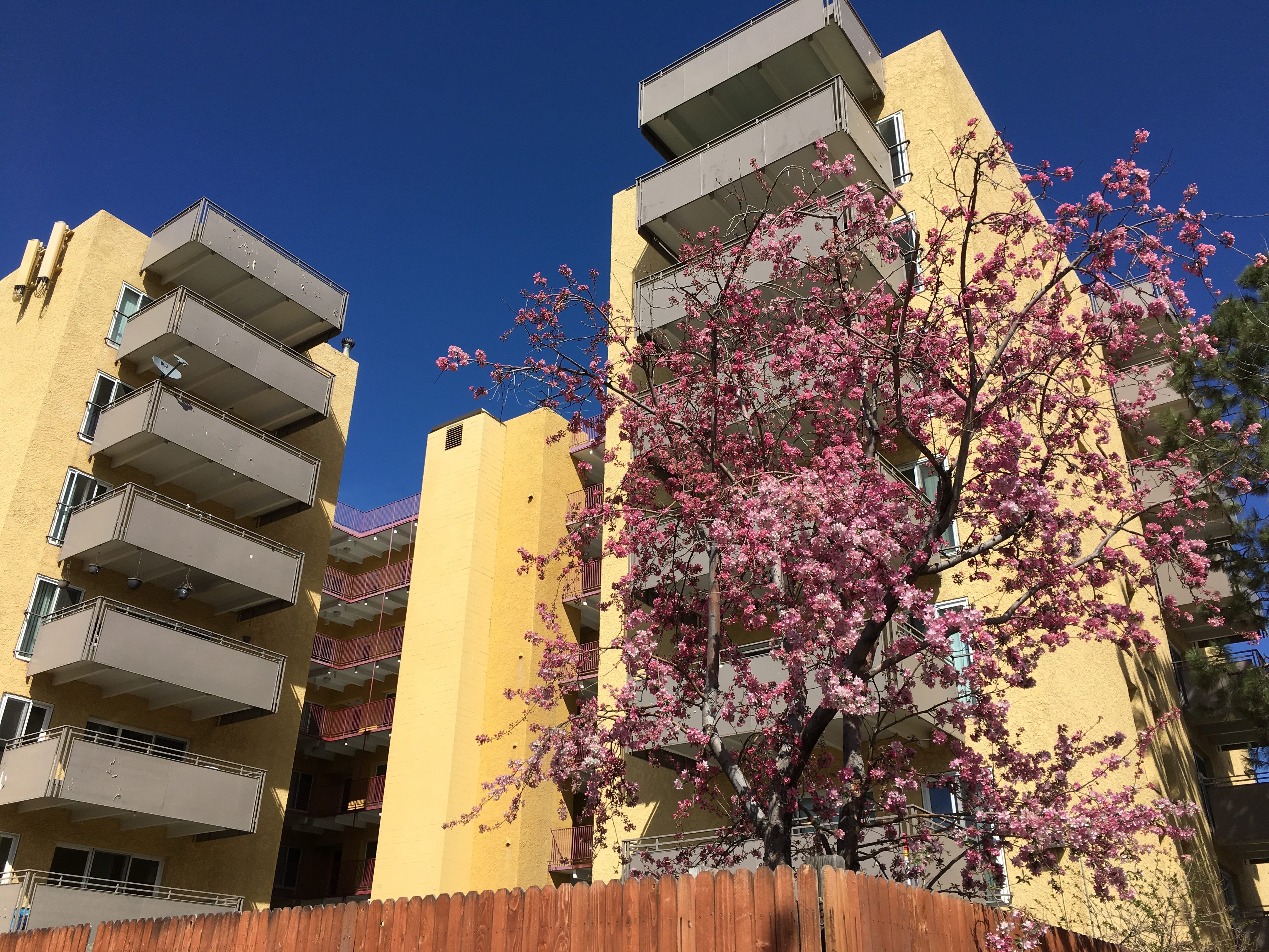 HB Spring - Hope Communities